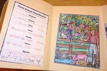 Ridgetop Farm and Garden