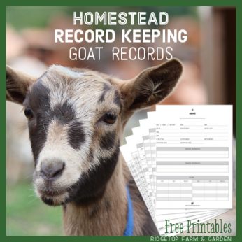 Goat Records - Free Printables • Ridgetop Farm and Garden