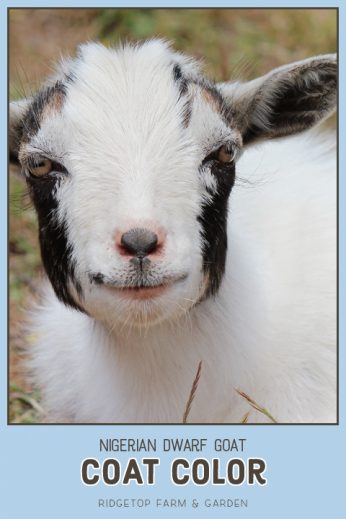 Ridgetop Farm and Garden